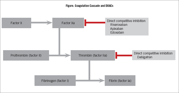 Direct Oral Anticoagulants A User S Guide Consultant360